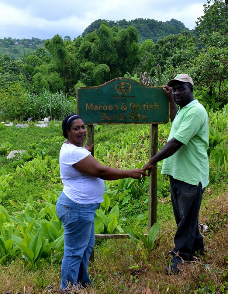 SAVE COCKPIT COUNTRY